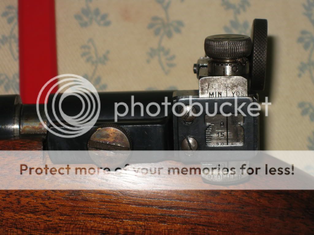 Remington 511 - want new sights | Rimfire Central Firearm Forum